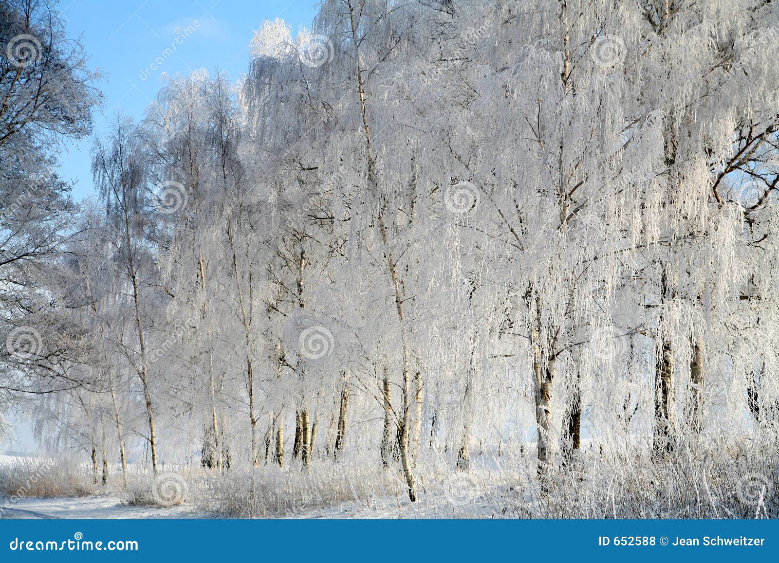 Winter in denmark stock photo. Image of blue, freeze, cool - 652588