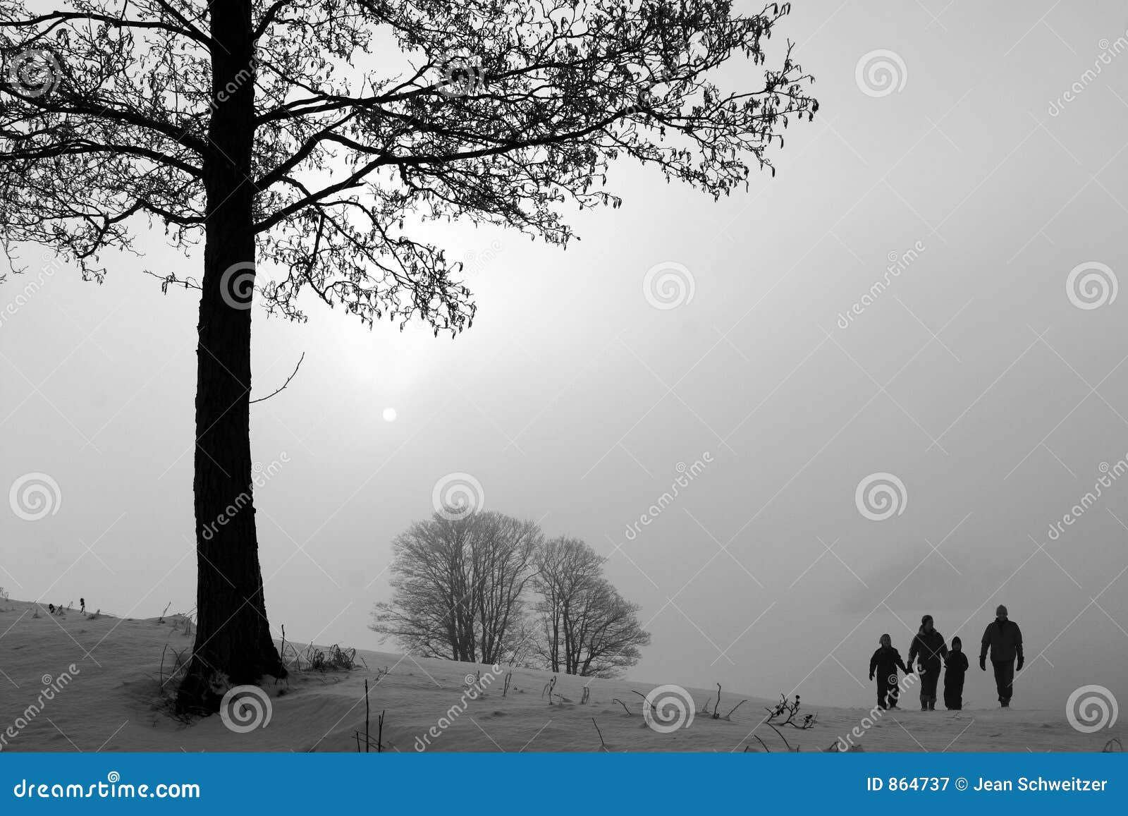 Winter in denmark stock image. Image of snow, season, silhouette - 864737
