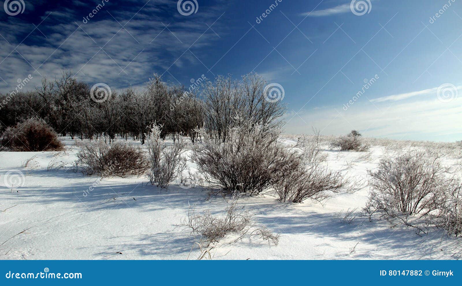 Winter desert. stock photo. Image of winter, khortitsa - 80147882