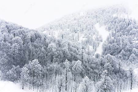 Winter Dream stock image. Image of snow, beauty, landmark - 7808701