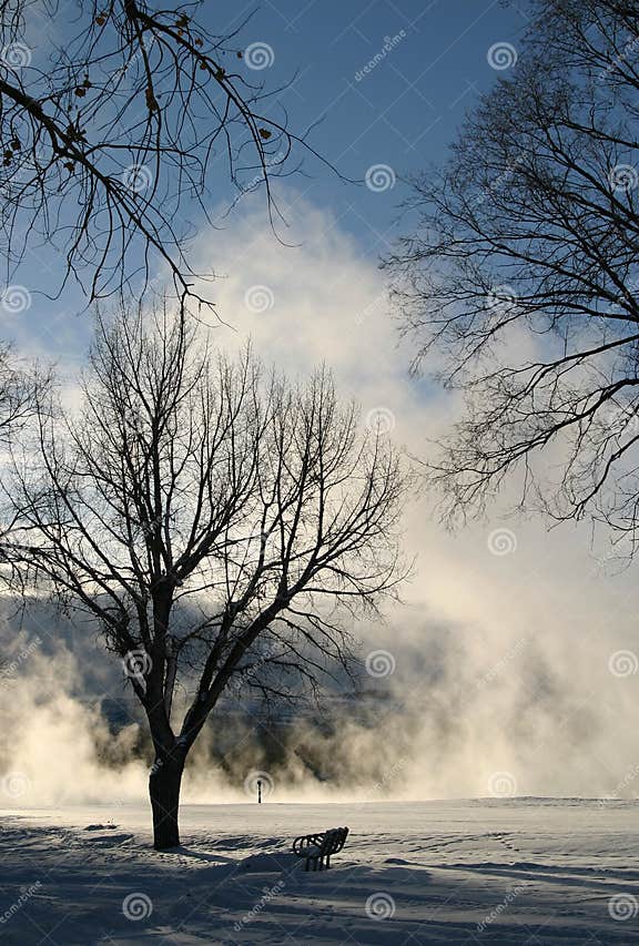 Winter Dream Series 6 stock image. Image of january, december - 405049