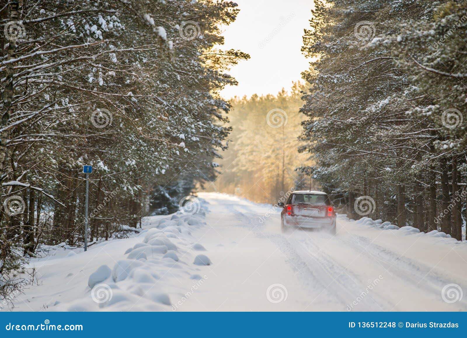 Winter driving in forest stock photo. Image of driving - 136512248