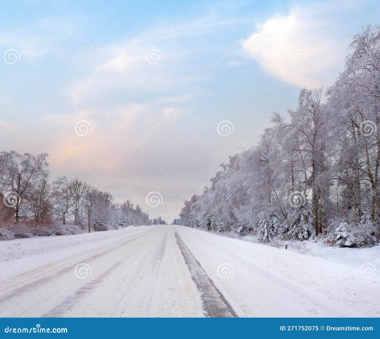 Winter Dull Landscape with Ice-covered Road and Trees at Side of the ...