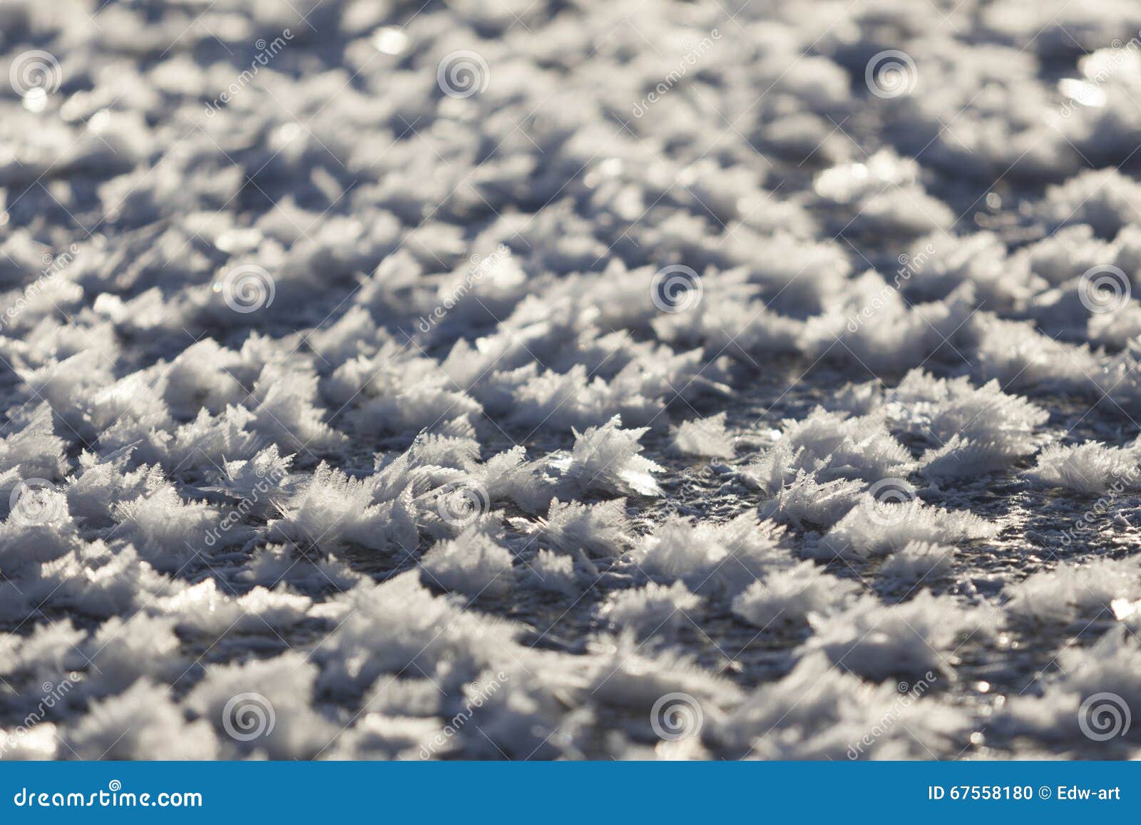 Winter elements stock photo. Image of covered, january - 67558180