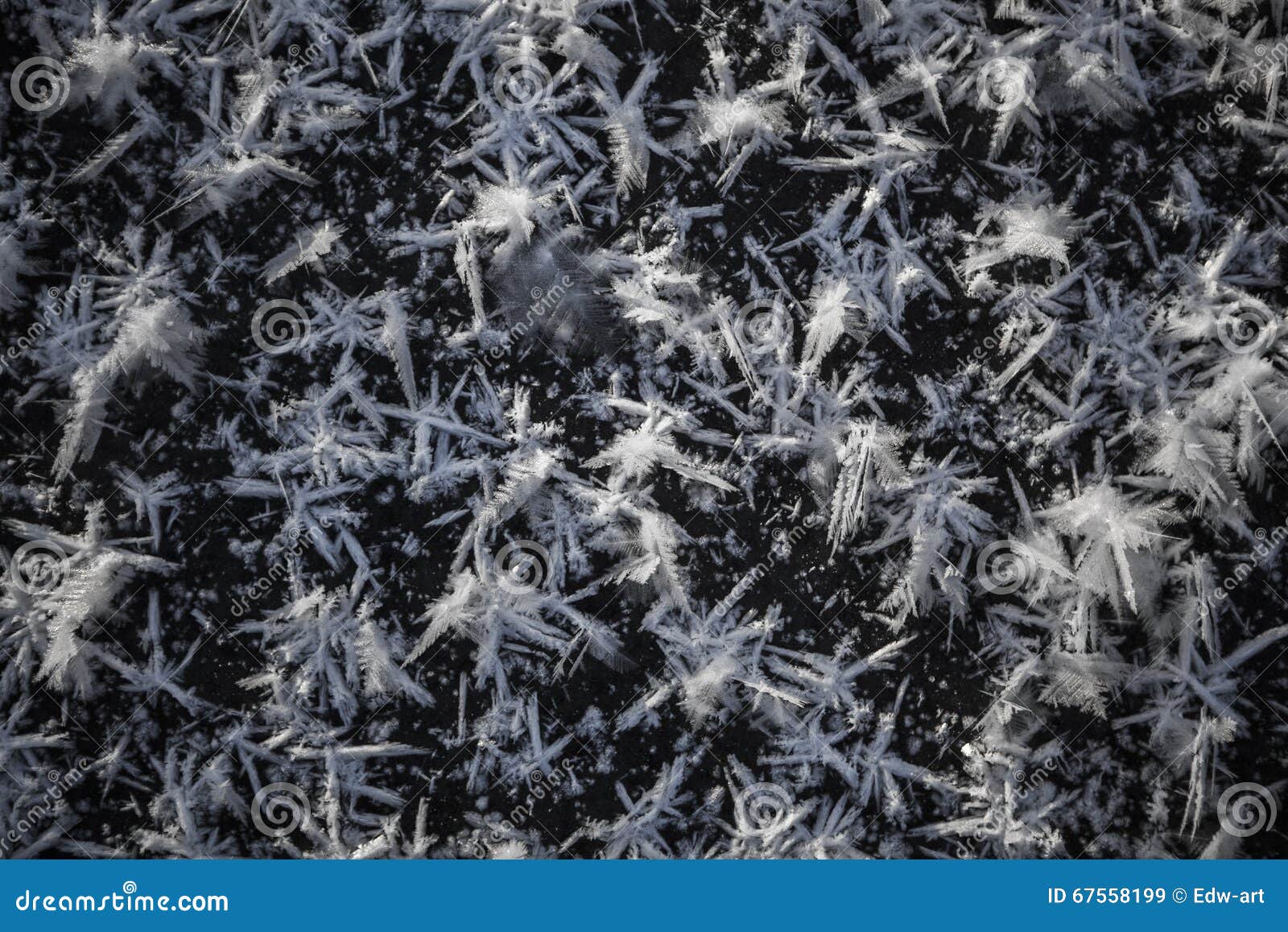 Winter elements stock image. Image of kemeri, snow, frost - 67558199