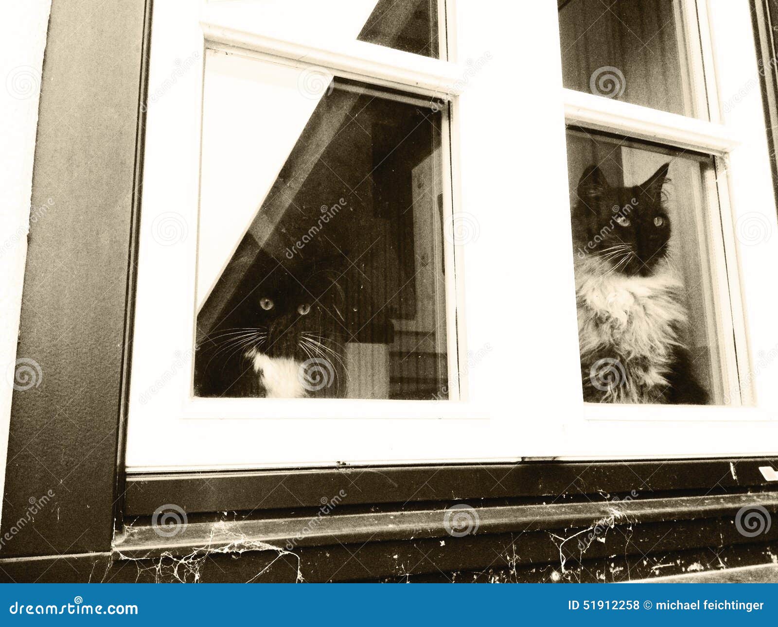 Winter is ending stock photo. Image of yearningly, spring - 51912258