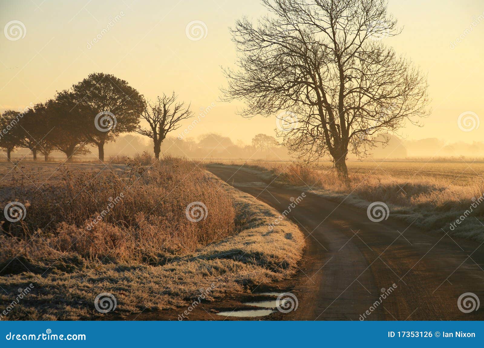Winter in the English Countryside Stock Photo - Image of norfolk, cold ...