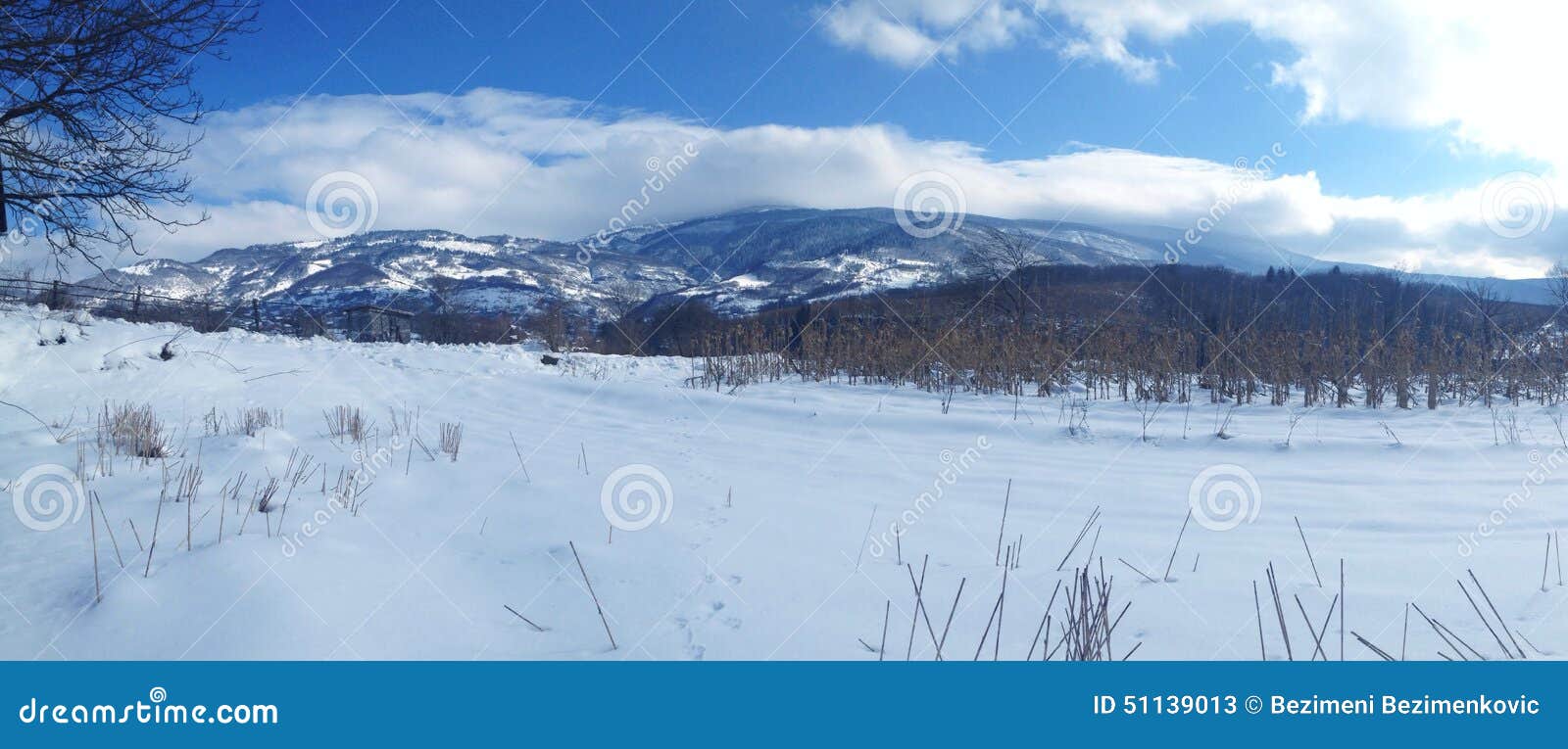 Winter environment stock image. Image of hoar, beautiful - 51139013