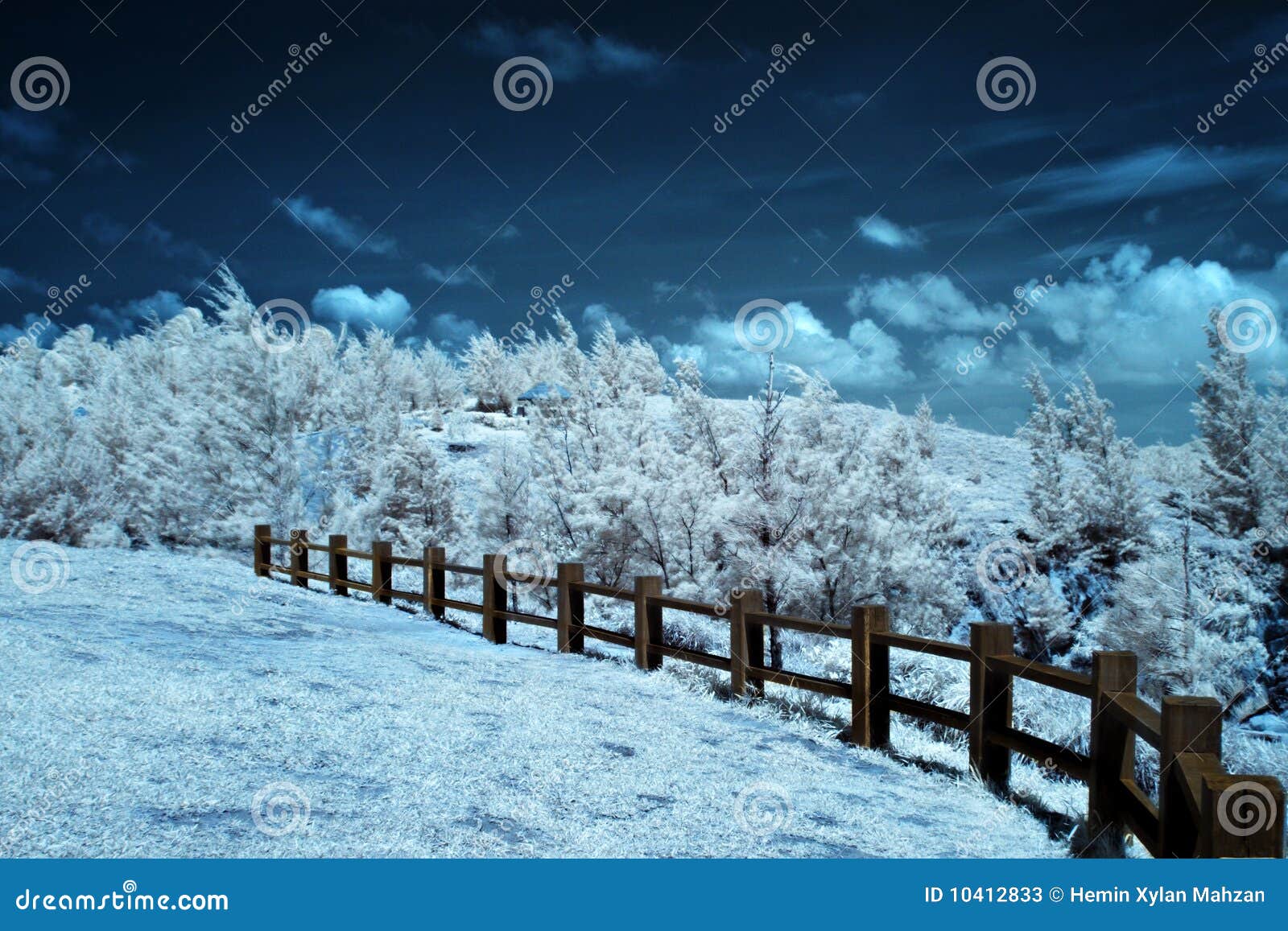 Winter in Equator stock image. Image of white, wind, calm - 10412833