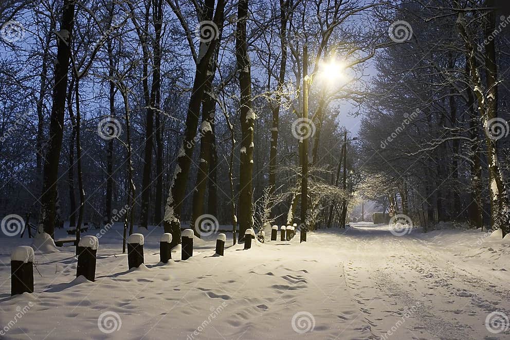 Winter evening stock photo. Image of snowflakes, night - 3974614
