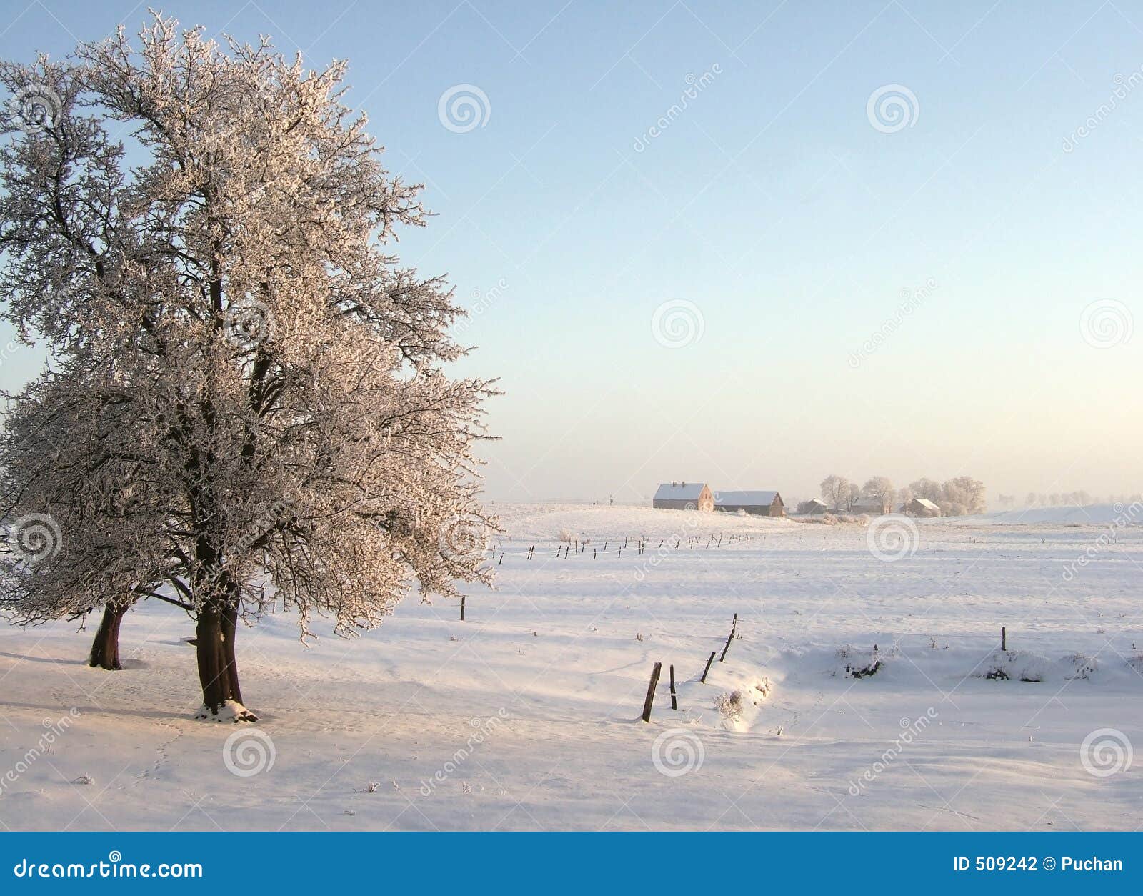 Winter evening stock photo. Image of nature, rural, frost - 509242