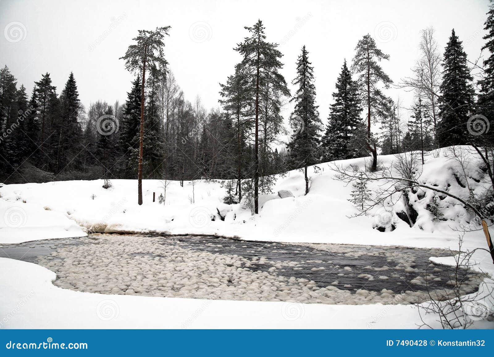 Winter Evening in Deep Forest in Lake Stock Photo - Image of cold ...