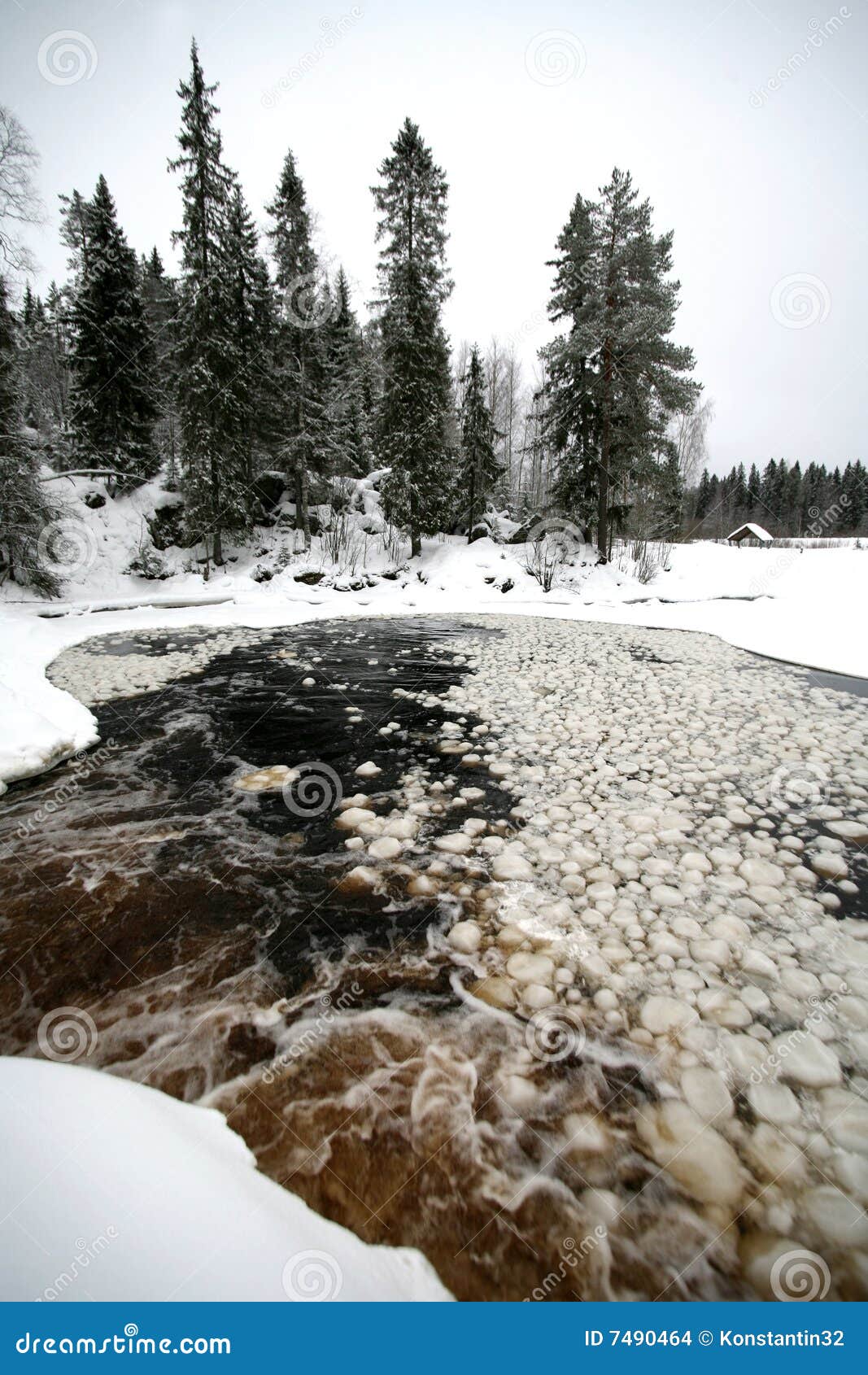 Winter Evening in Forest in Lake Stock Photo - Image of empty, stream ...