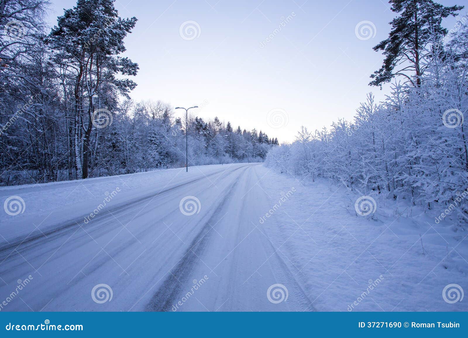 Winter Evening Forest with Road Covered with Snow Stock Photo - Image ...