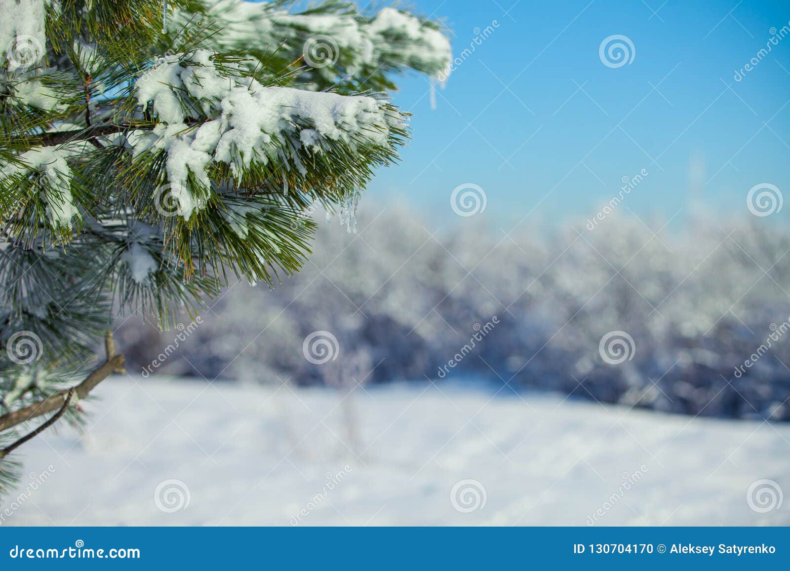 Winter Evening Landscape with Falling Snow Background. Stock Photo ...