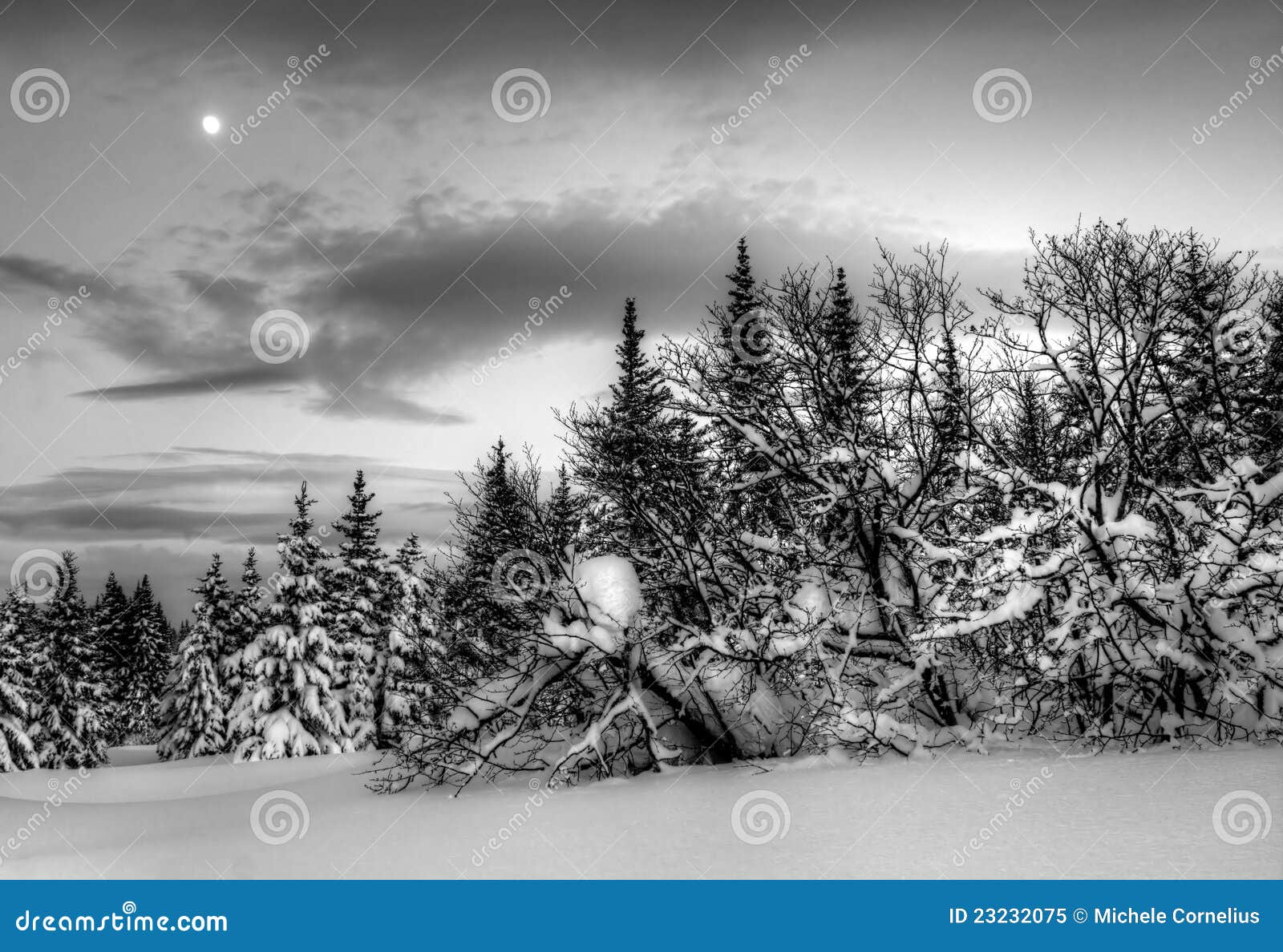 Winter Evening Landscape with Moon Stock Image - Image of natural ...