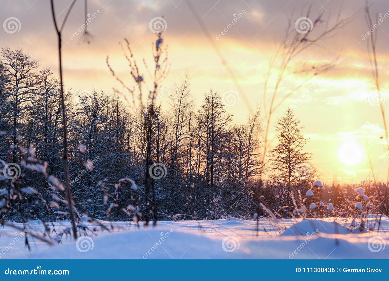 Winter evening lighting. stock photo. Image of beautiful - 111300436
