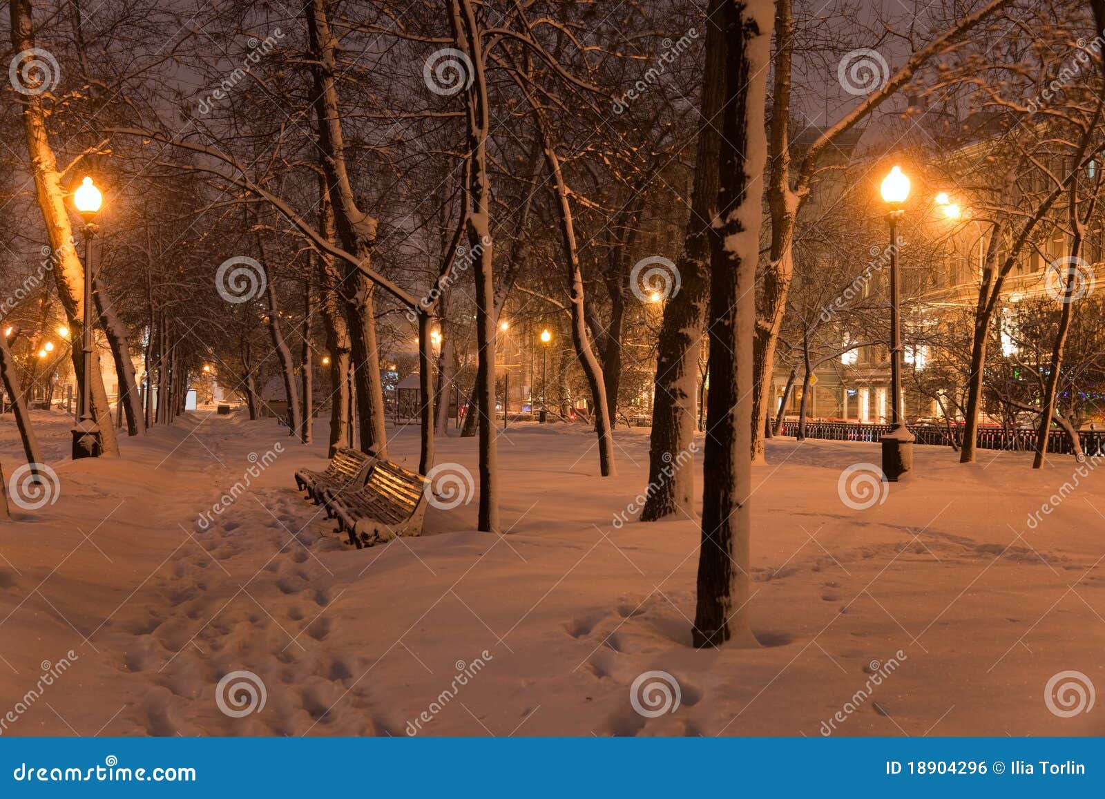 Winter Evening. Moscow. Russia. Stock Photo - Image of bench, alley ...