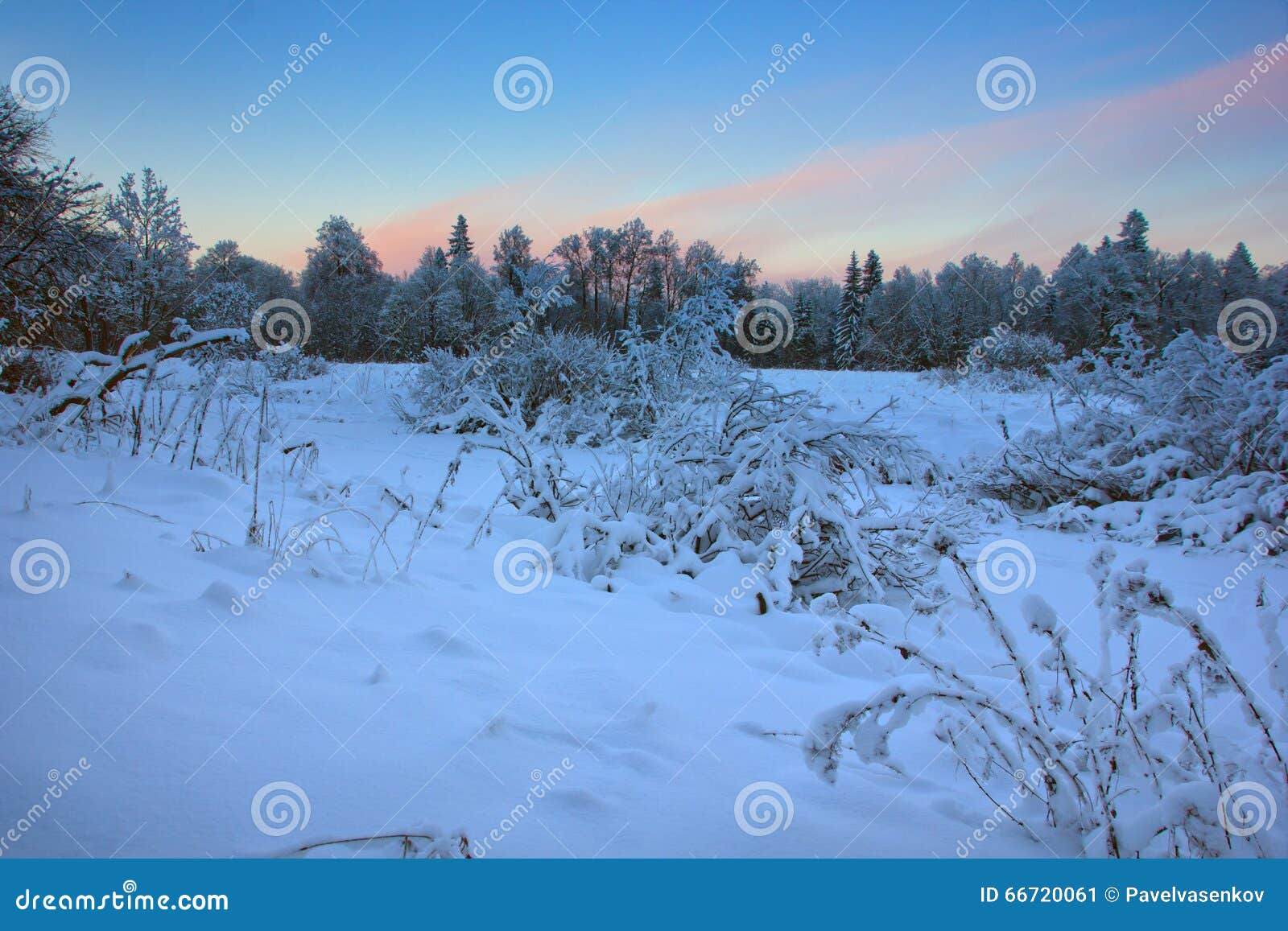 Winter evening in the Park stock image. Image of park - 66720061