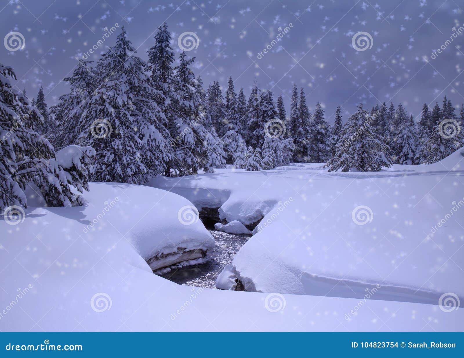 Winter Evening in Snowy Forest Stock Photo - Image of water, forest ...
