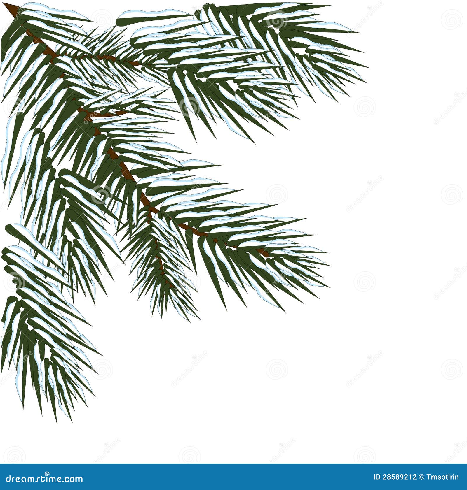 Winter Evergreen Corner Design Stock Vector - Illustration of nature ...