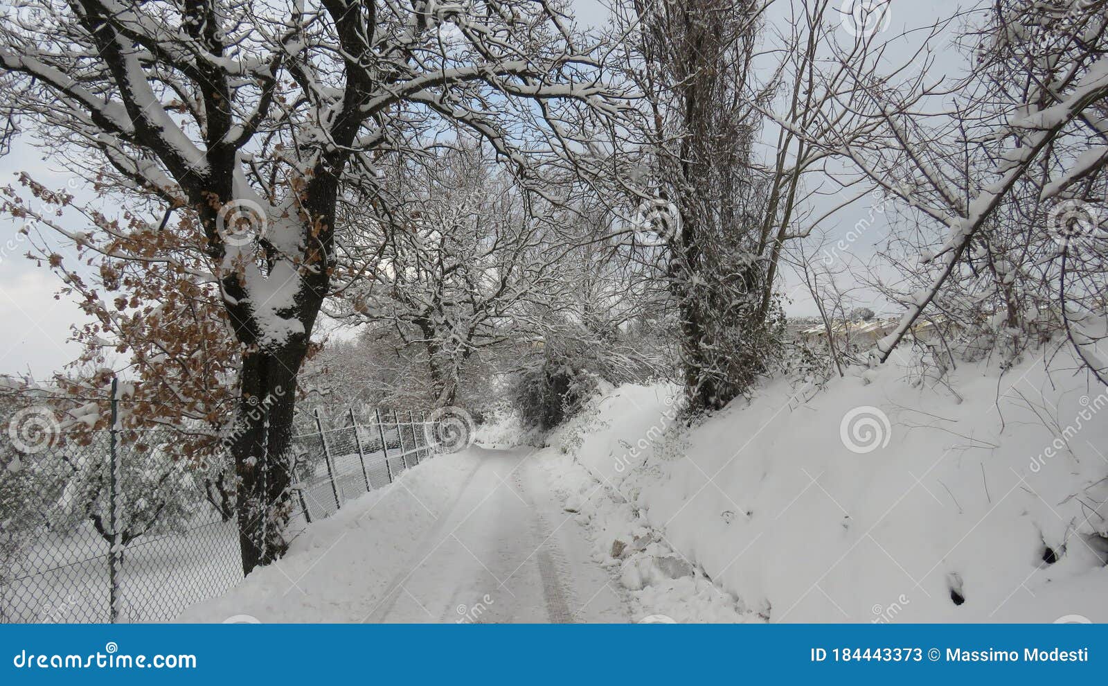 Heavy snowfall stock image. Image of heavy, winter, single - 184443373