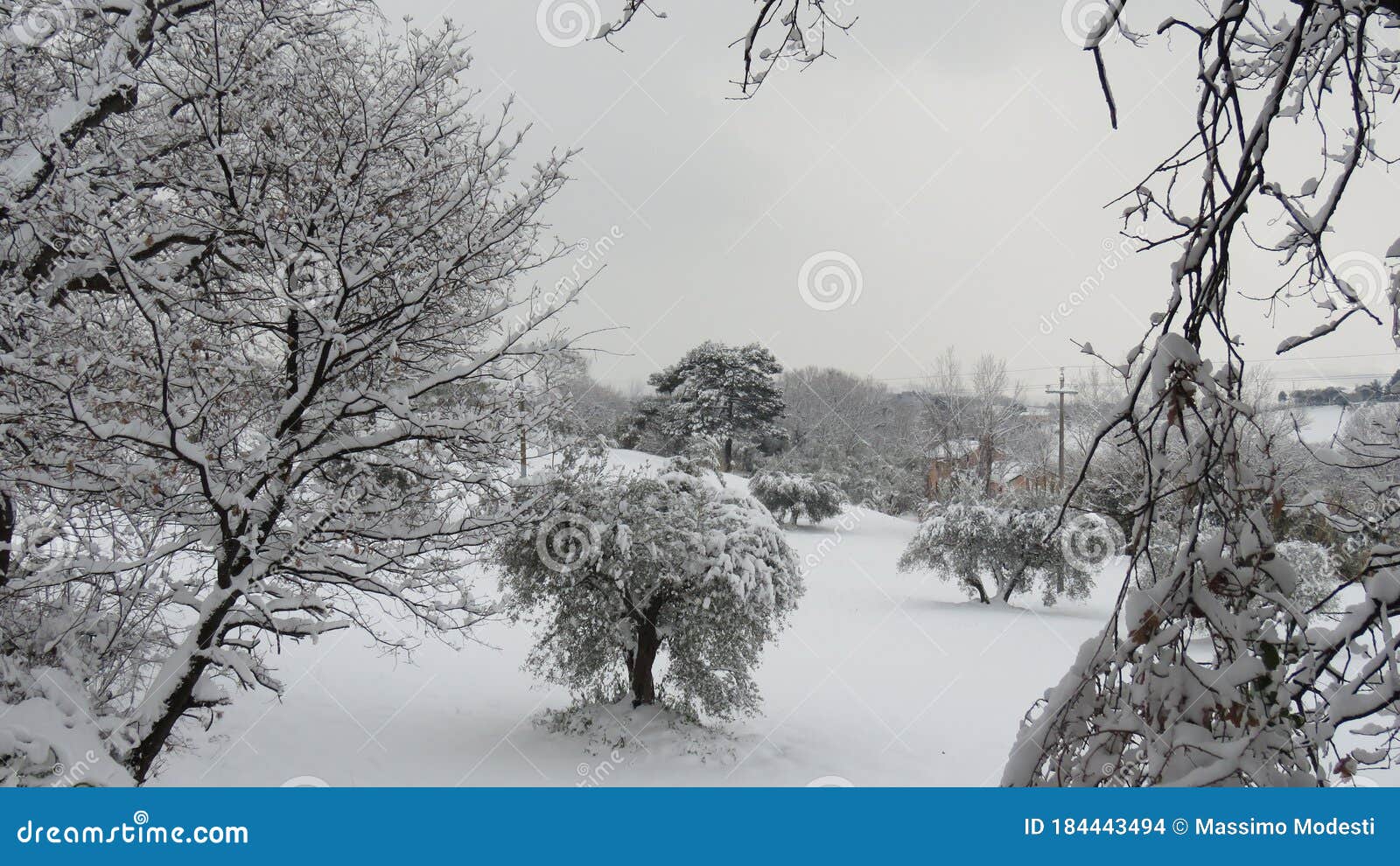 Heavy snowfall stock photo. Image of winter, snowfall - 184443494