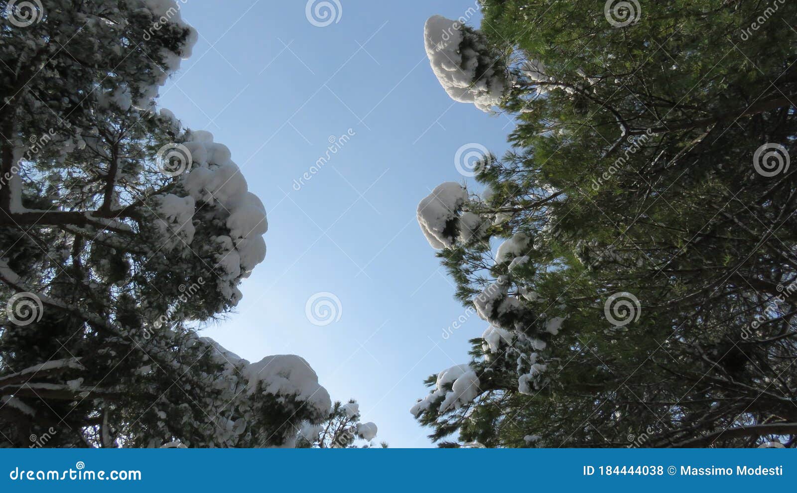 Heavy snowfall stock photo. Image of white, landscape - 184444038