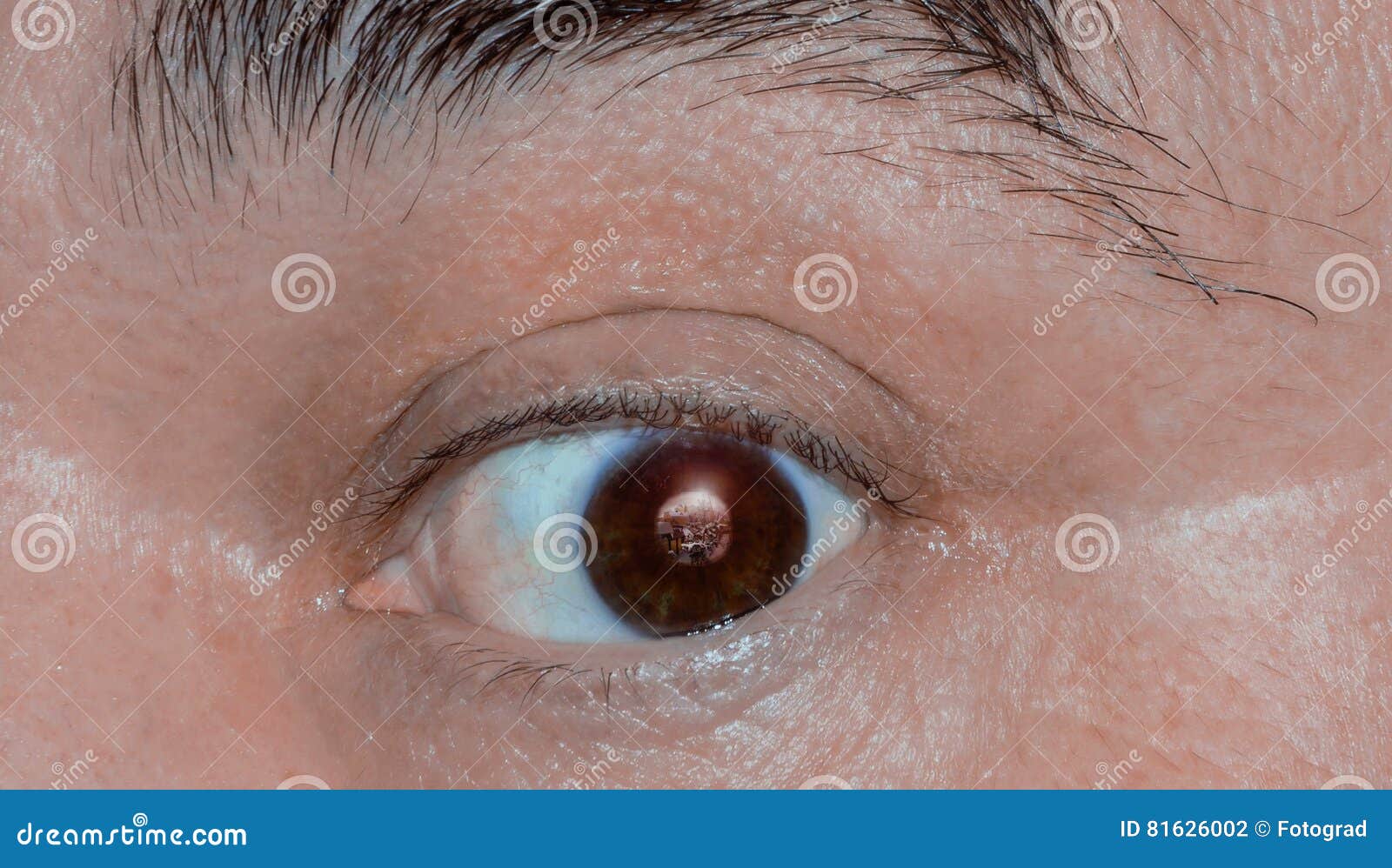 Winter in the eyes. stock photo. Image of color, pupil - 81626002