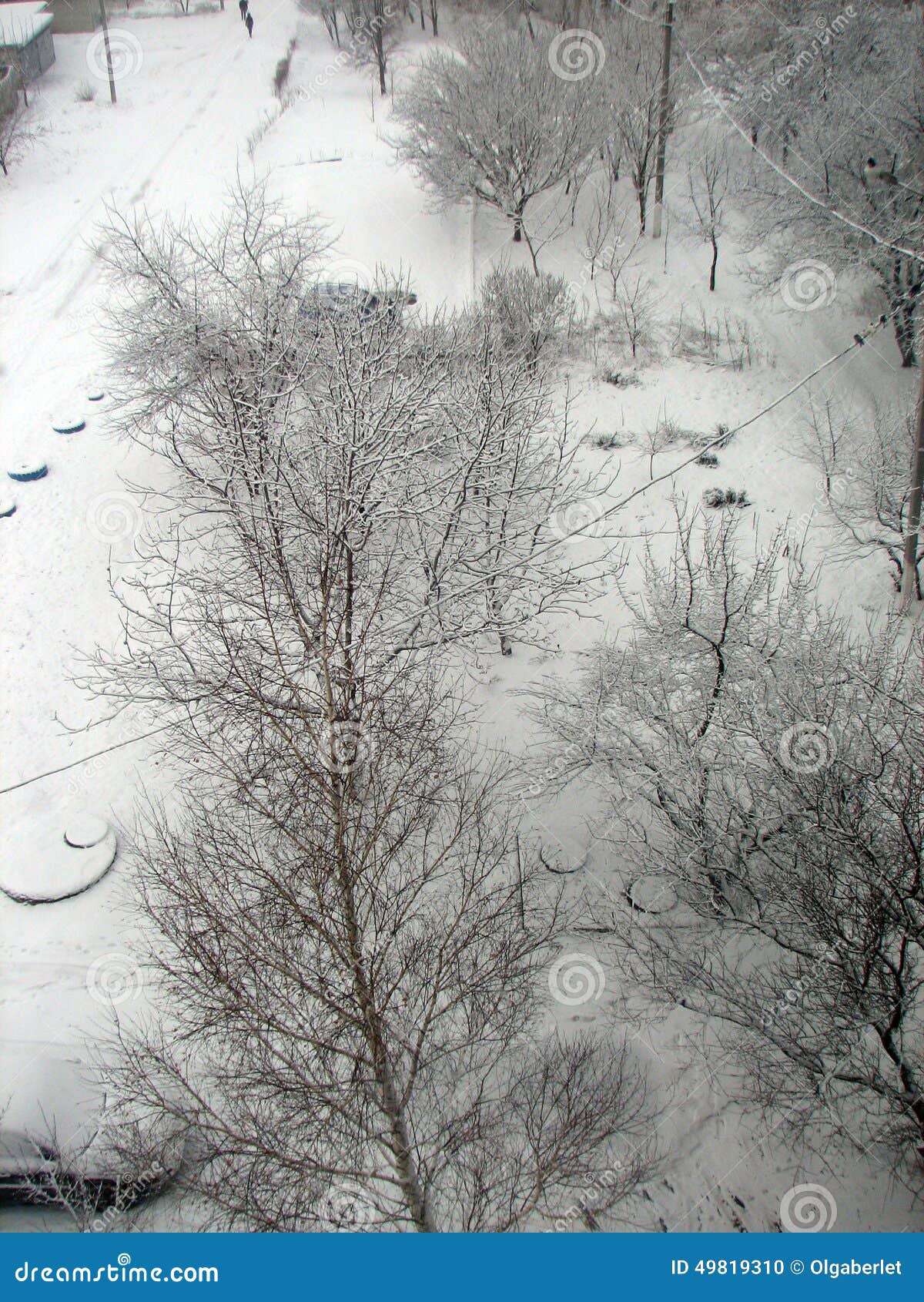 Winter with falling snow stock photo. Image of beautiful - 49819310