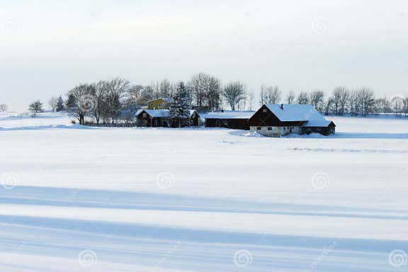 Winter farm stock photo. Image of building, countryside - 1695108