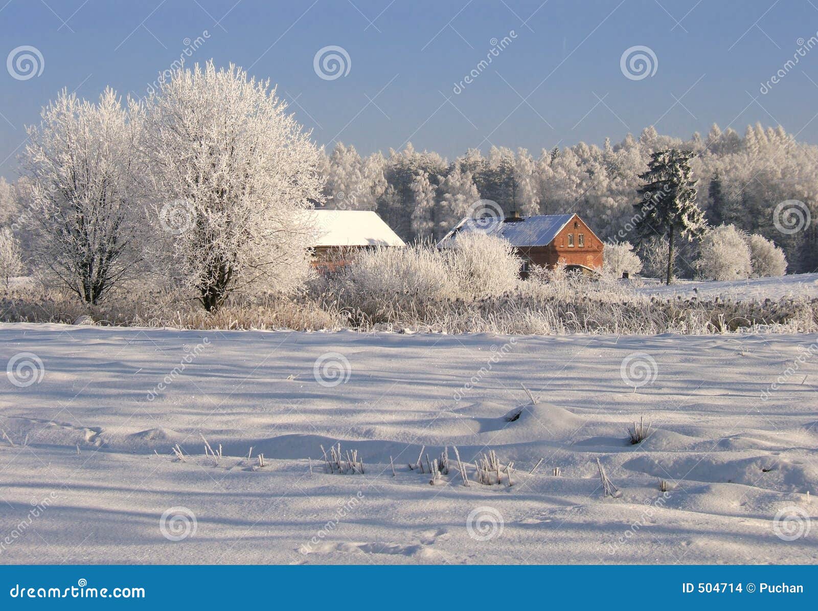 Winter farm stock photo. Image of forest, frost, idyllic - 504714