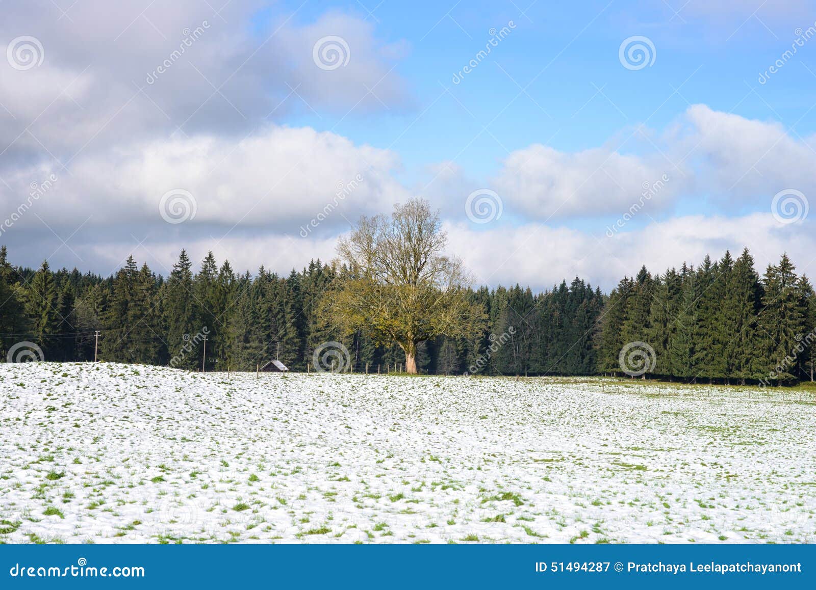 Winter Farm Field Landscape Stock Image - Image of travel, seasonal ...