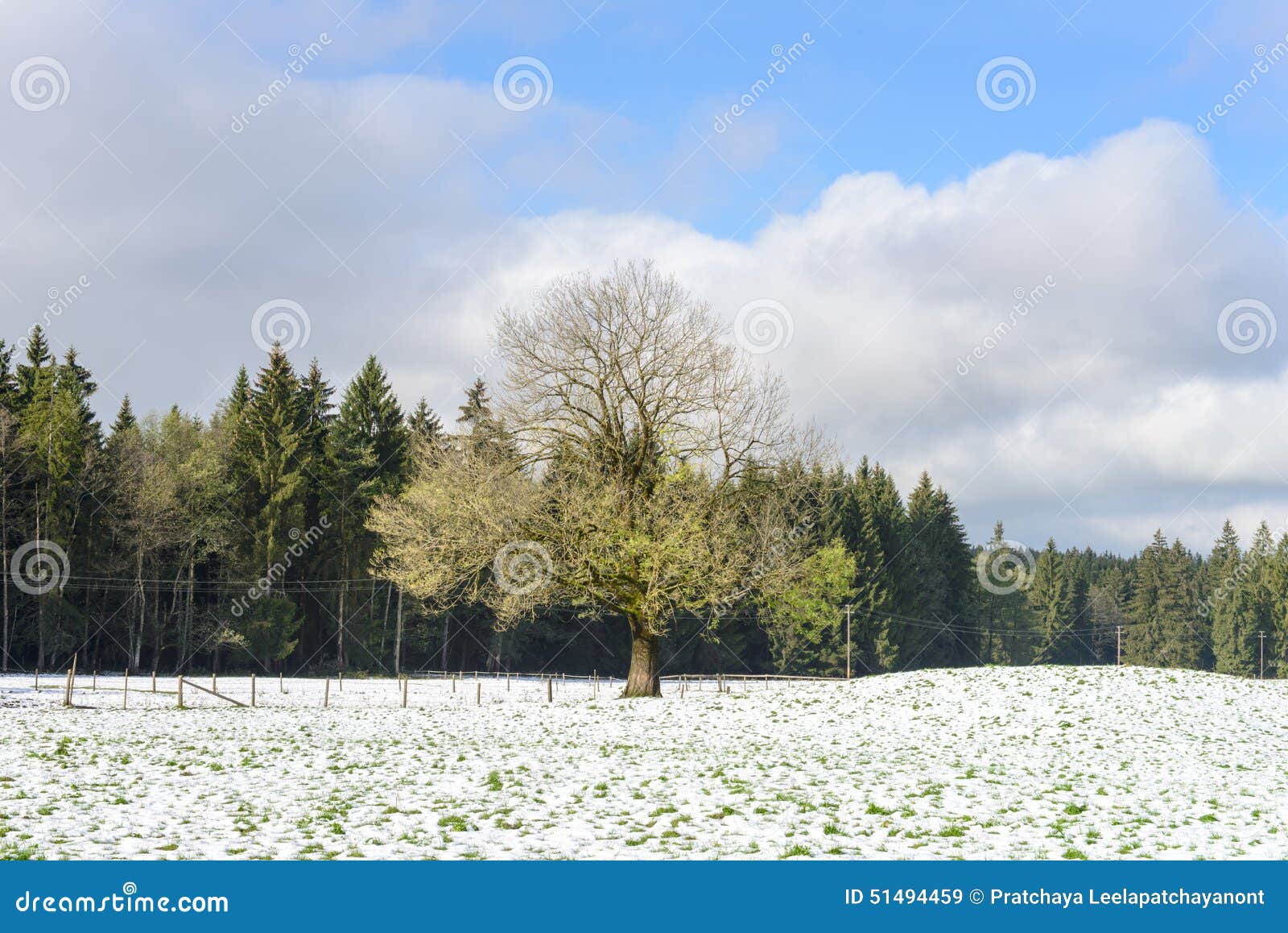 Winter Farm Field Landscape Stock Image - Image of view, land: 51494459