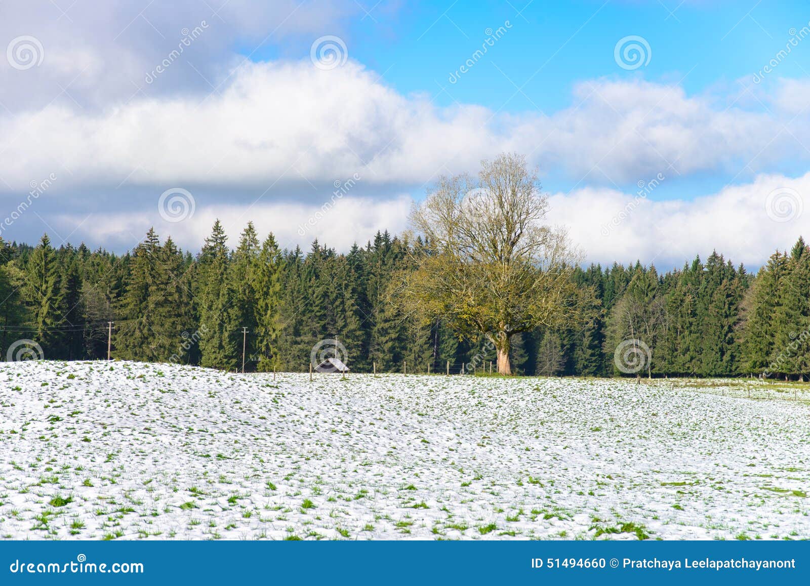 Winter Farm Field Landscape Stock Photo - Image of silence, seasonal ...