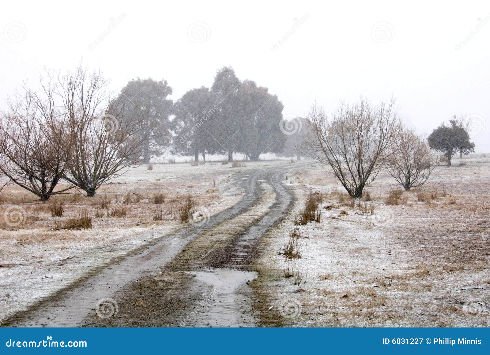 Winter Farm Scene stock image. Image of scene, misty, cold - 6031227