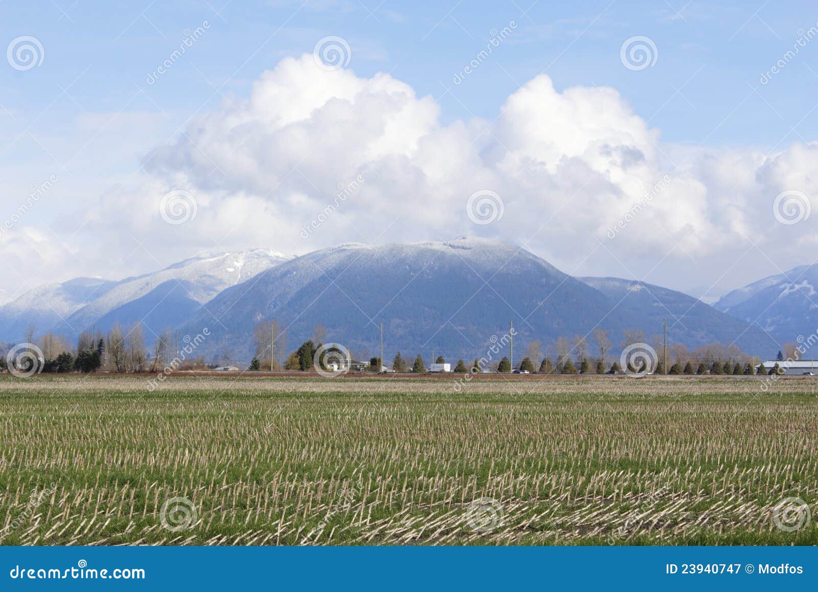 Winter Farmland stock image. Image of chilliwack, agriculture - 23940747