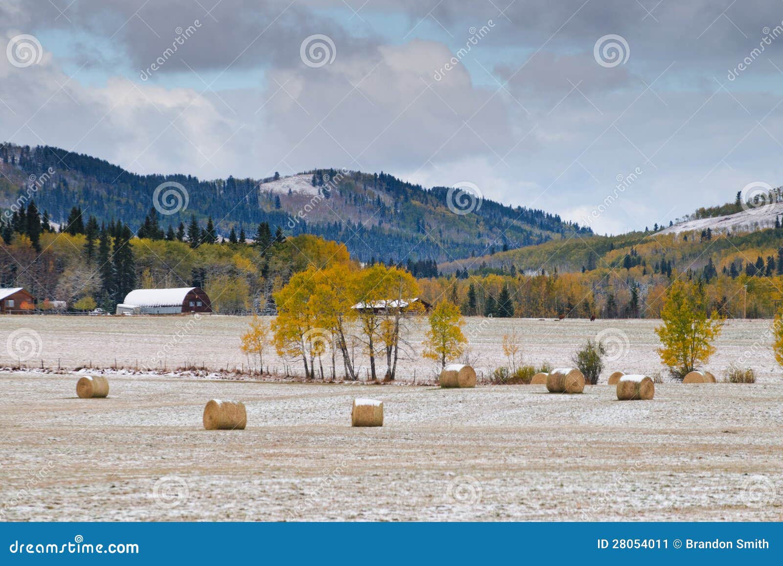 Winter Farmland stock image. Image of color, landscape - 28054011