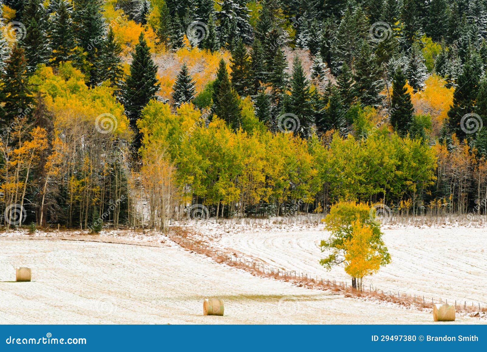 Winter Farmland stock photo. Image of alberta, haystack - 29497380