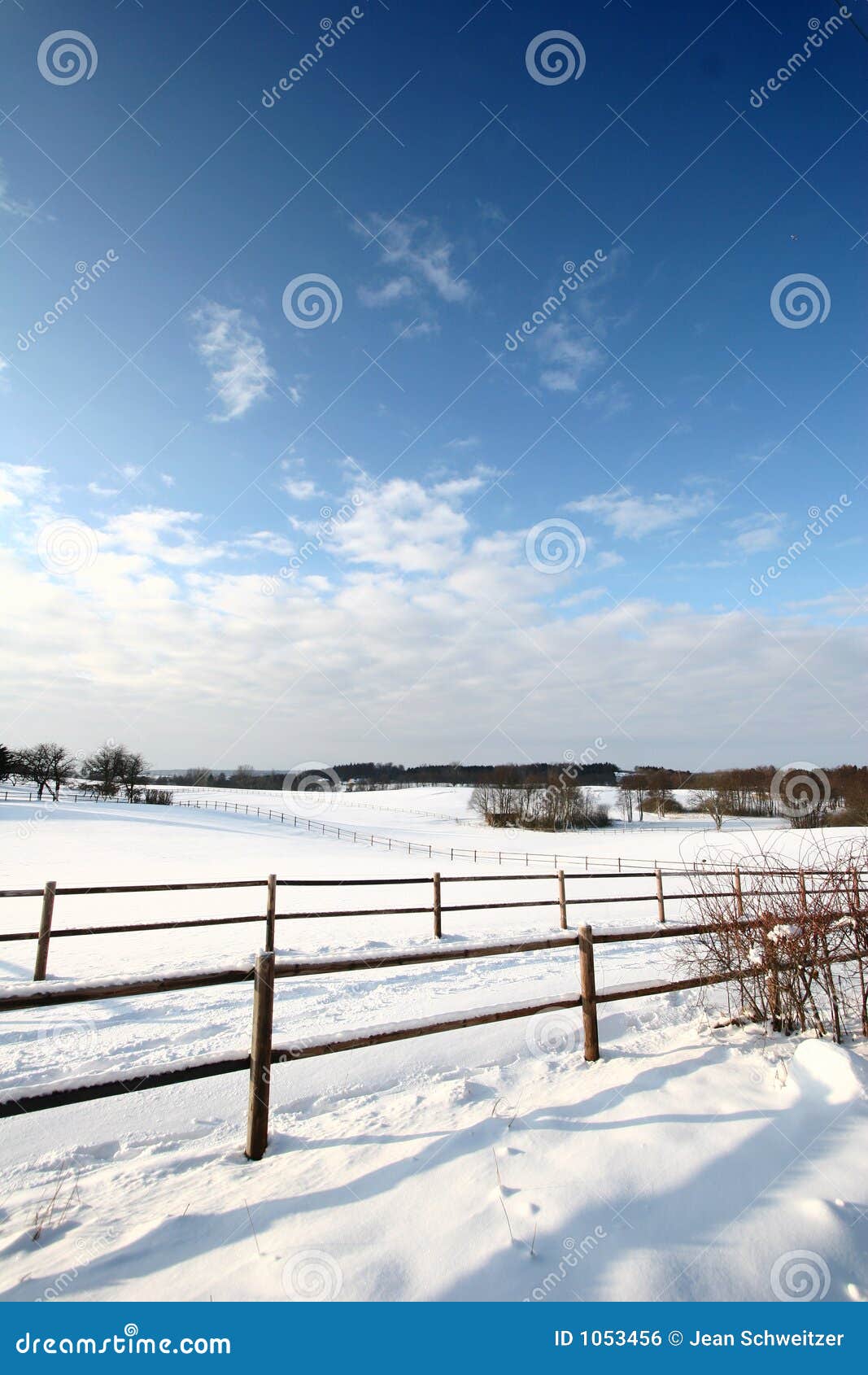 Winter fences stock photo. Image of rural, tree, scandinavian - 1053456