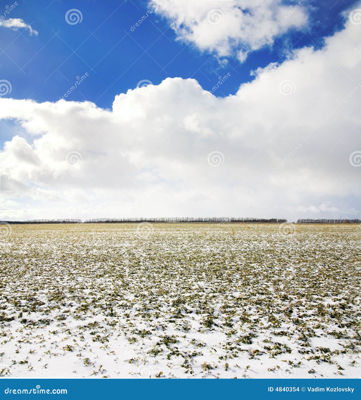 Winter field stock photo. Image of colour, frost, artistic - 4840354