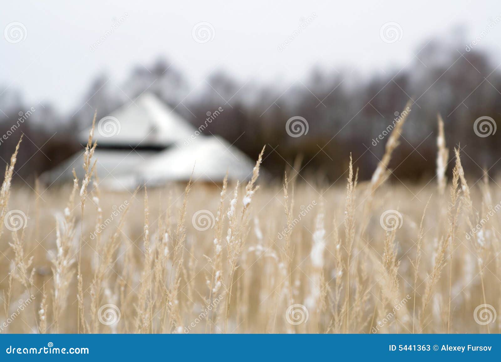 Winter field stock image. Image of outside, field, farm - 5441363