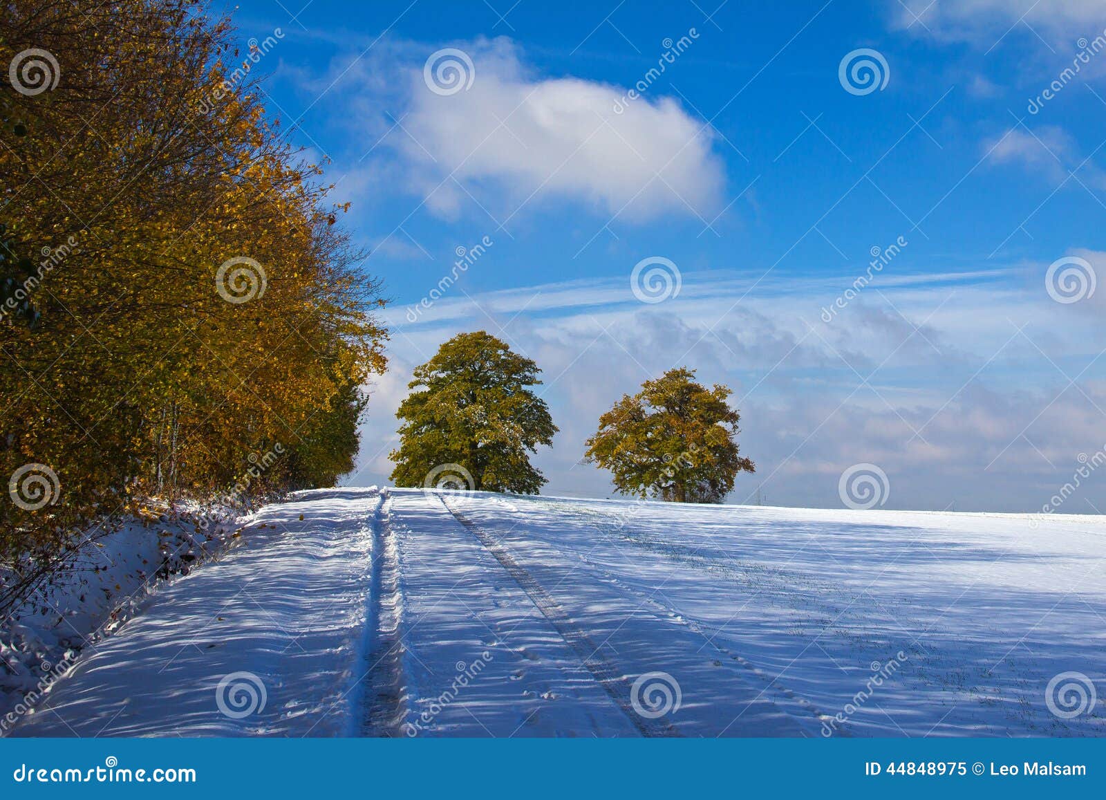 Winter field landscape stock image. Image of cereals - 44848975