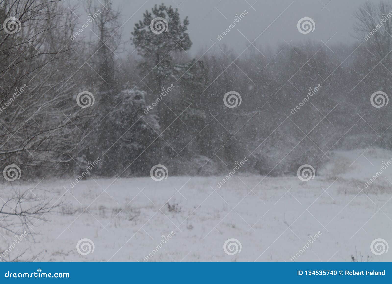 Winter Field during a Storm Stock Photo - Image of showing, pass: 134535740