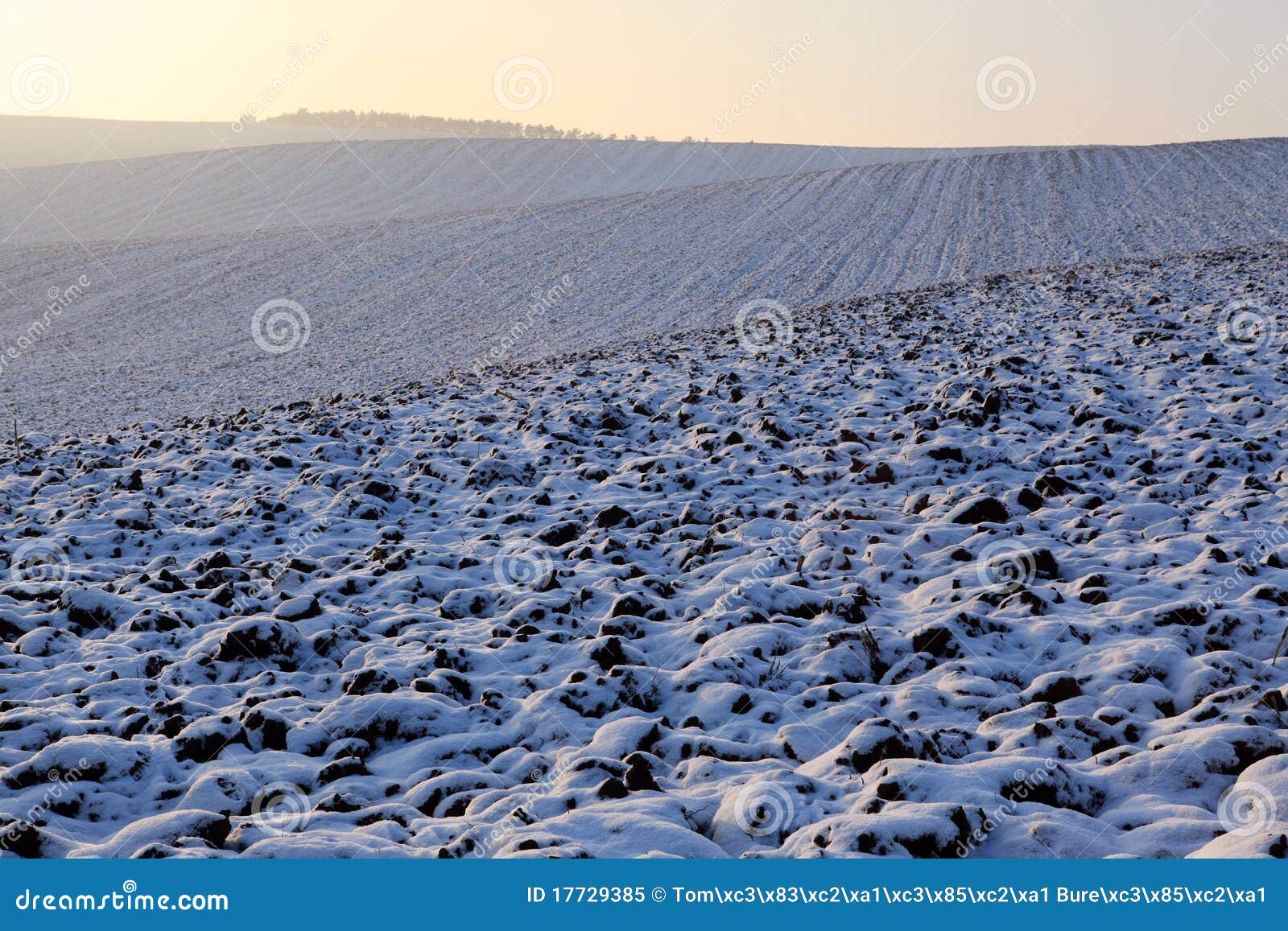 Winter fields stock image. Image of republic, frost, landscape - 17729385
