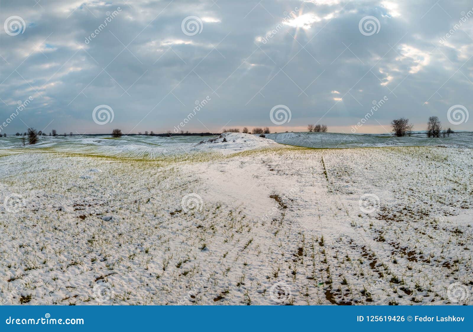 Winter Fields in the Snow. Winter. Wheat Stock Photo - Image of travel ...