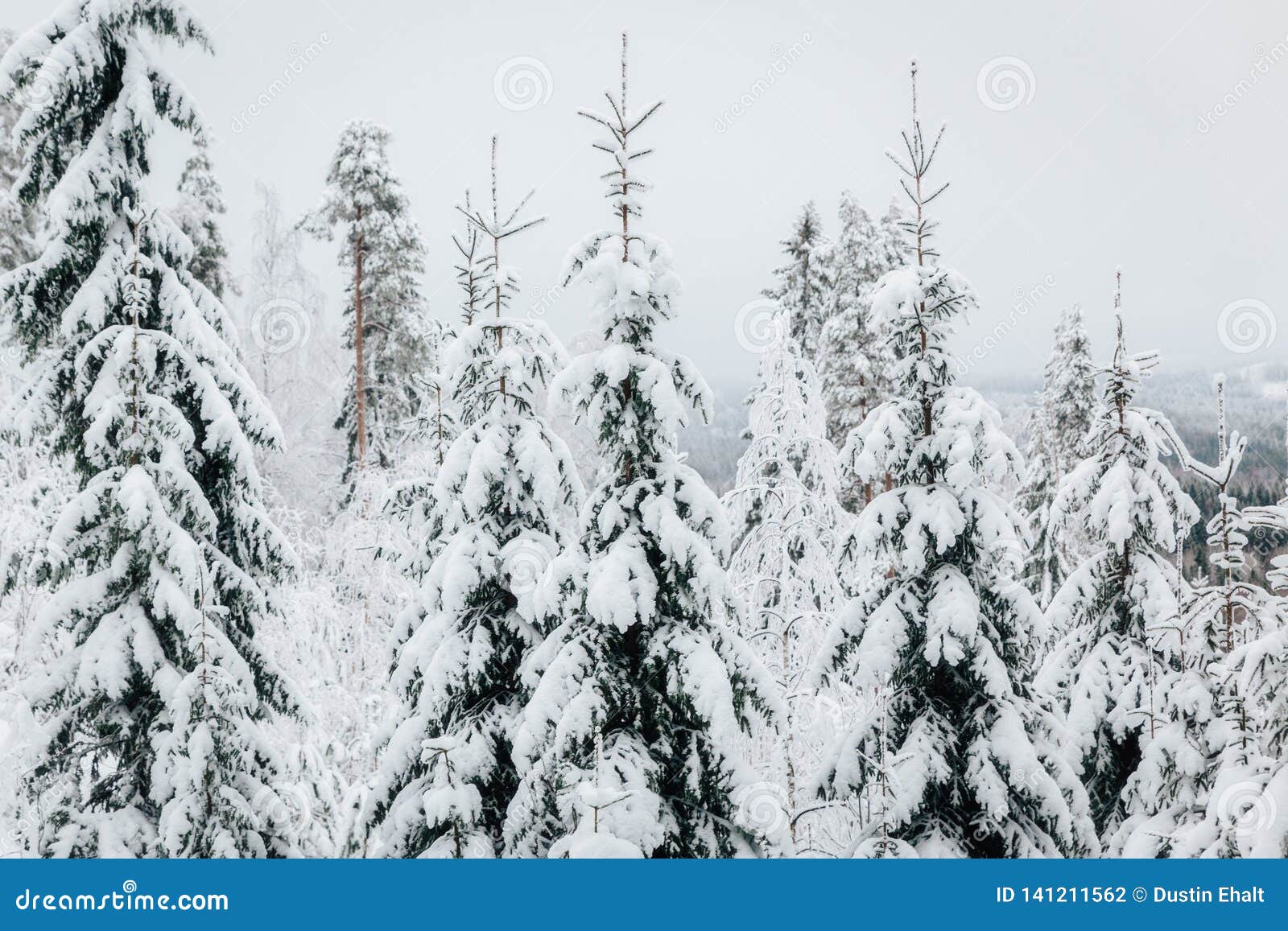Winter in Finland Covered in Snow Stock Photo - Image of europe, arctic ...