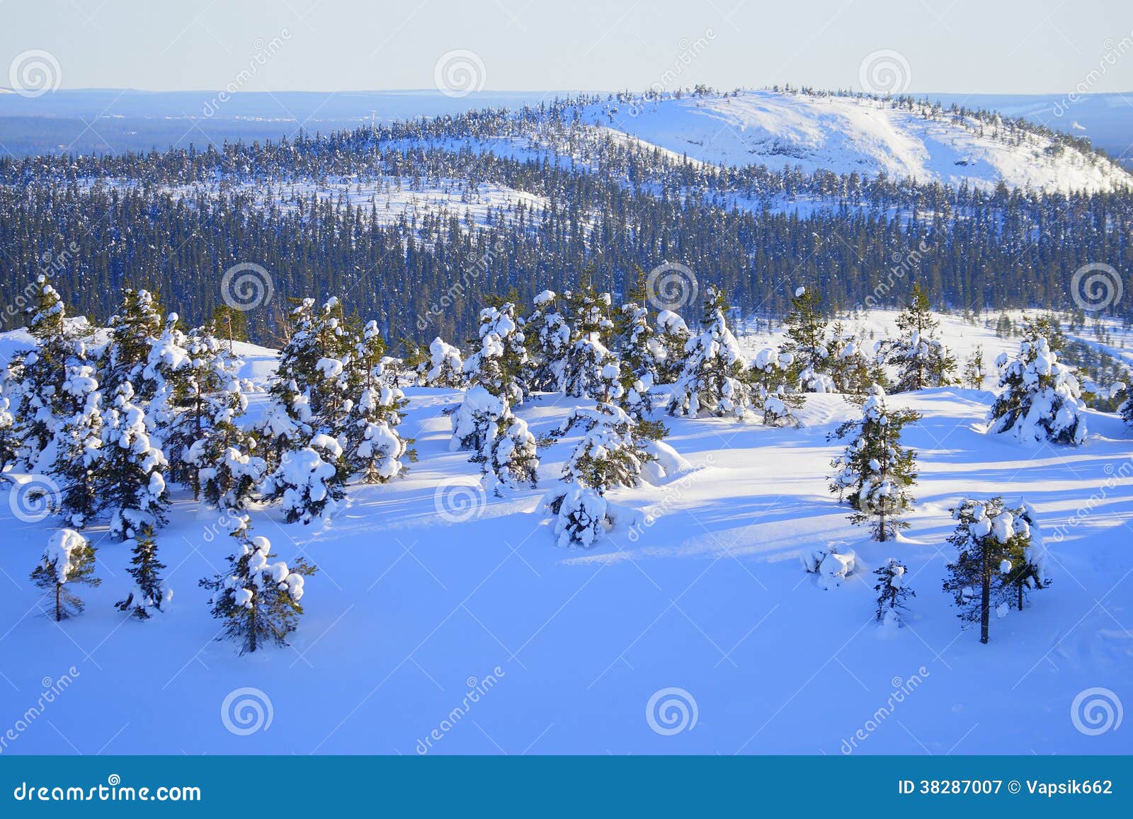 Winter in Finland. stock image. Image of forest, light - 38287007