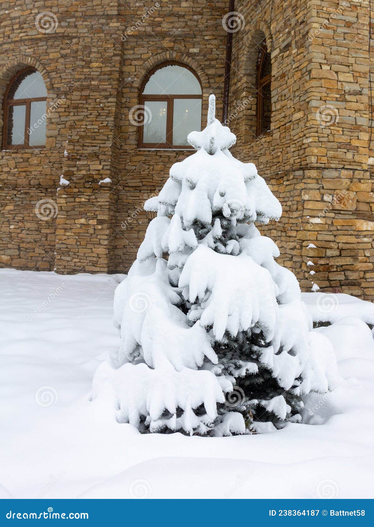 Winter, the First Snowfall in the Nature Park, Fluffy Snow Enveloped ...