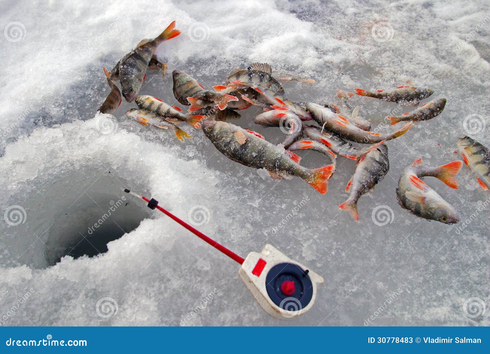 Winter fishing stock image. Image of fish, sport, activity - 30778483